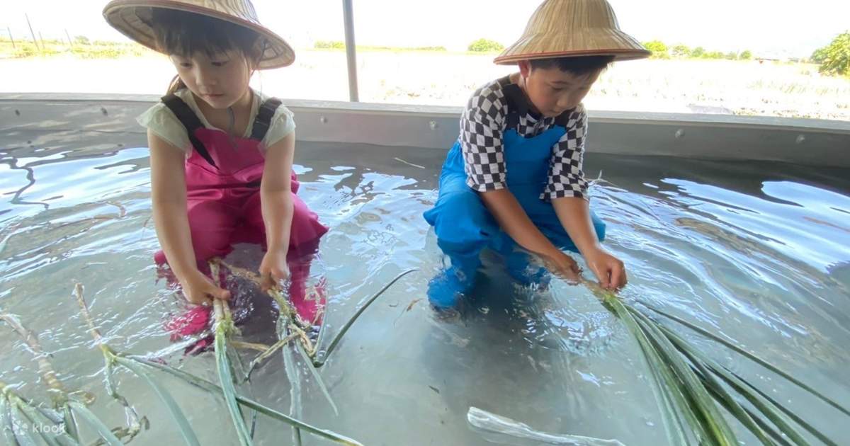 Yilan｜Trang trại trải nghiệm Chu Mi｜Trải nghiệm bánh mì hành lá sáng tạo DIY - Klook Việt Nam